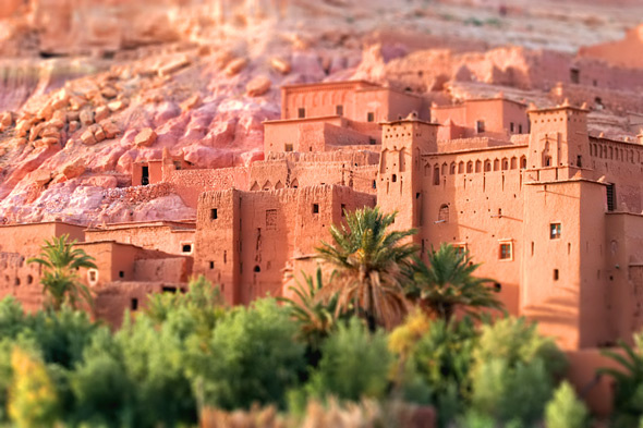 French & Francophone Studies | Literatures, Cultures, and Languages